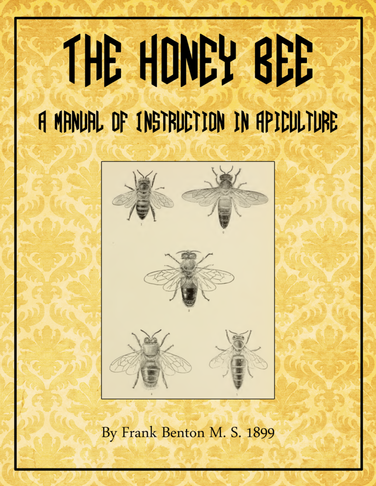 The Honey Bee – Cooper Family Printing