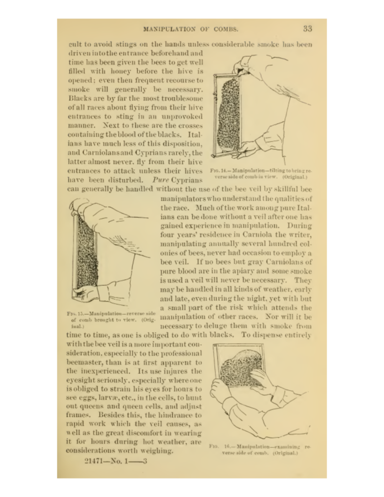 The Honey Bee – Cooper Family Printing