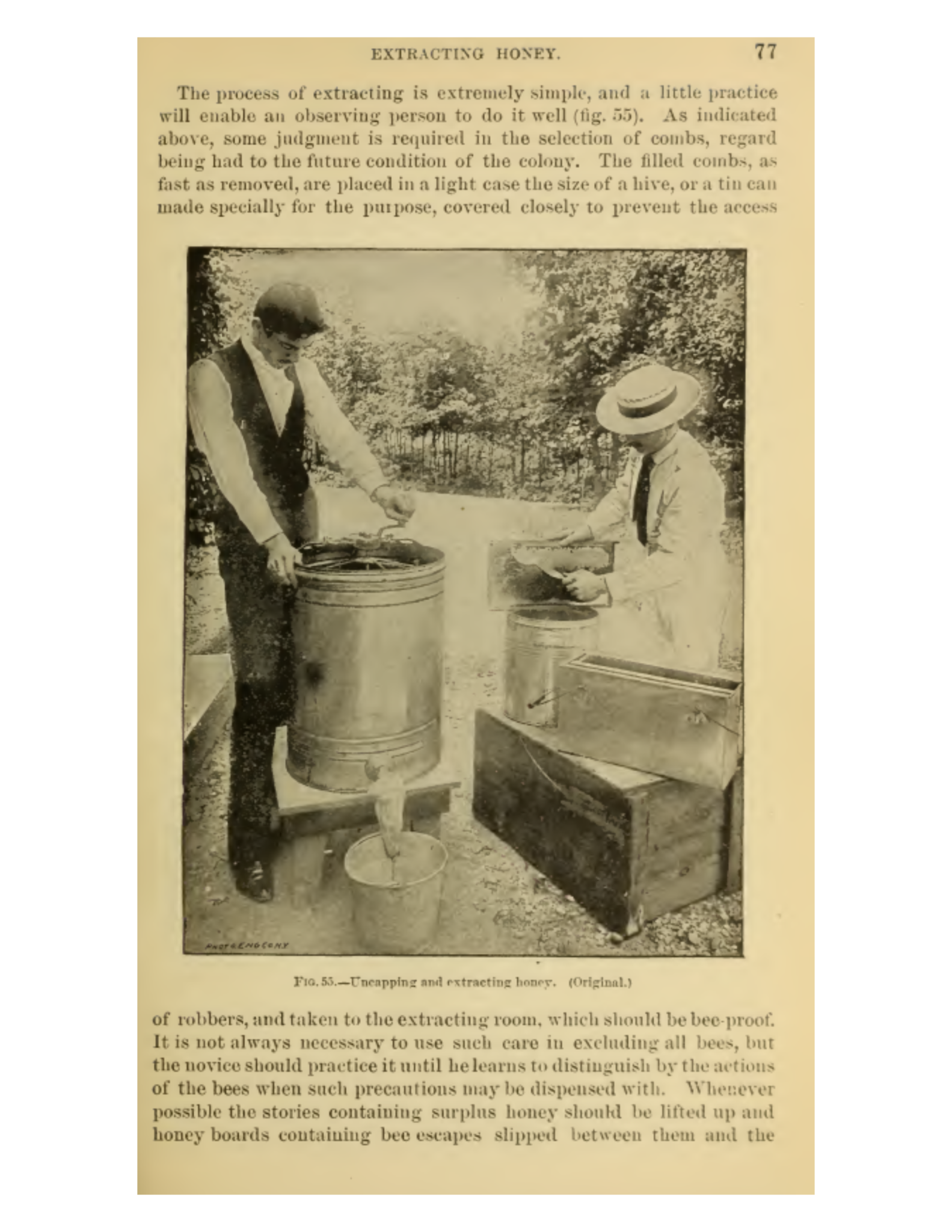 The Honey Bee – Cooper Family Printing